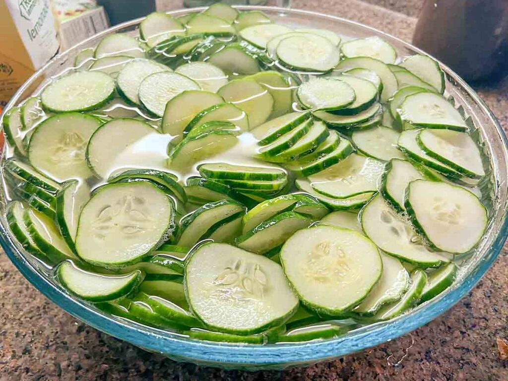Dill Pickle Slices – Art of Natural Living