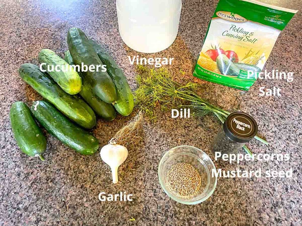 Dill Pickle Slices – Art of Natural Living