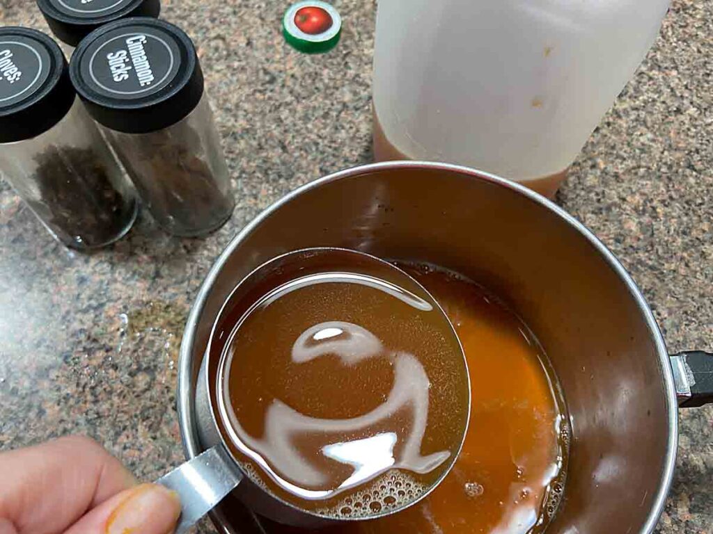 Hot Spiced Apple Cider – Art of Natural Living