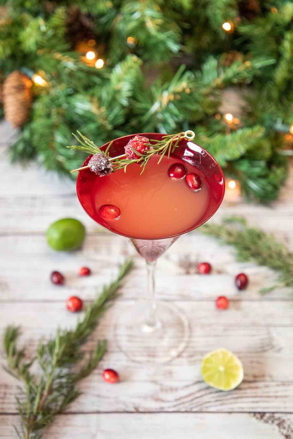 Cranberry Martini (or Cosmopolitan) – Art of Natural Living