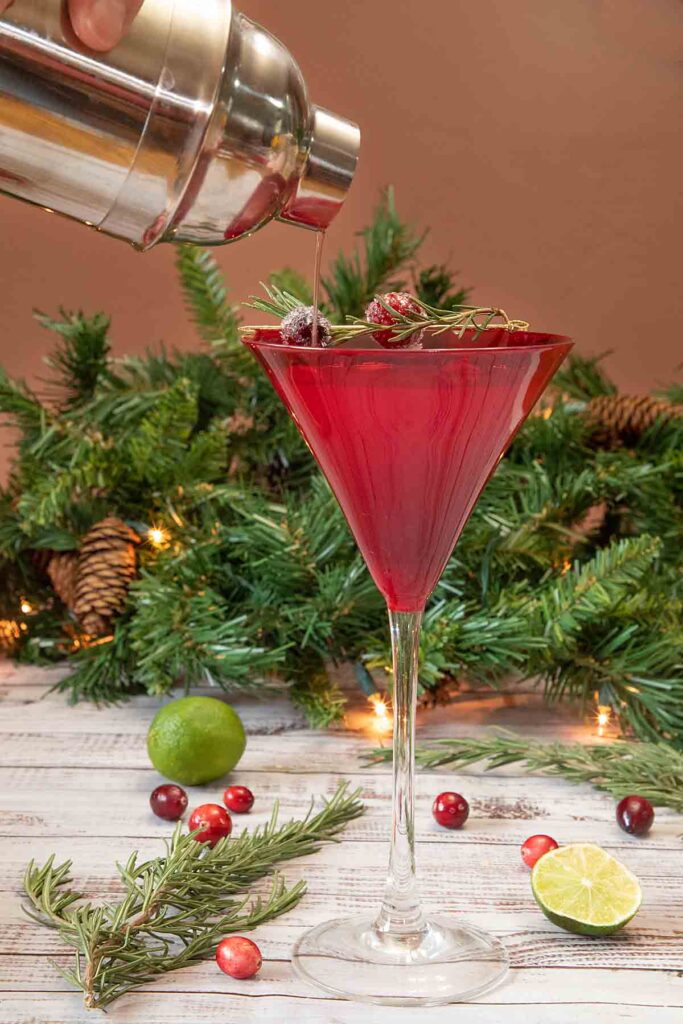 Cranberry Martini (or Cosmopolitan) – Art of Natural Living